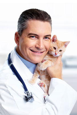 team-member-1 - Swanbourne Vet Centre
