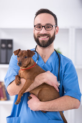 team-member-3 - Swanbourne Vet Centre