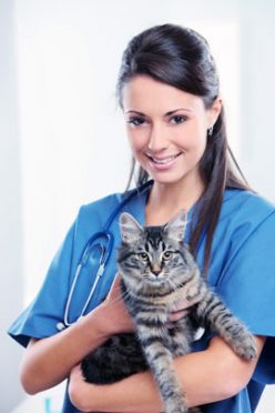 Services - Swanbourne Vet Centre