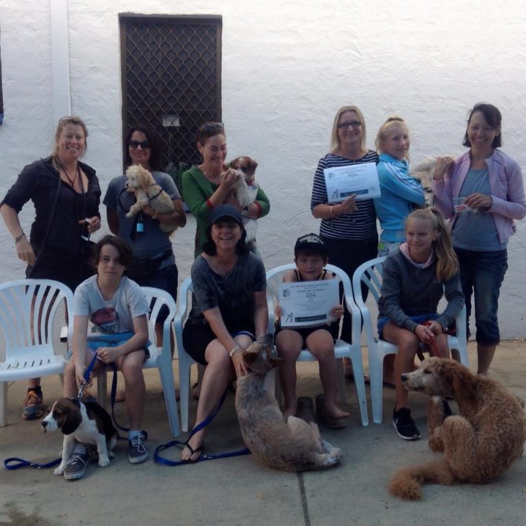 Puppy School - Swanbourne Vet Centre