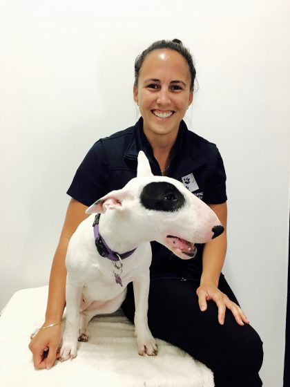 Team Members - Swanbourne Vet Centre