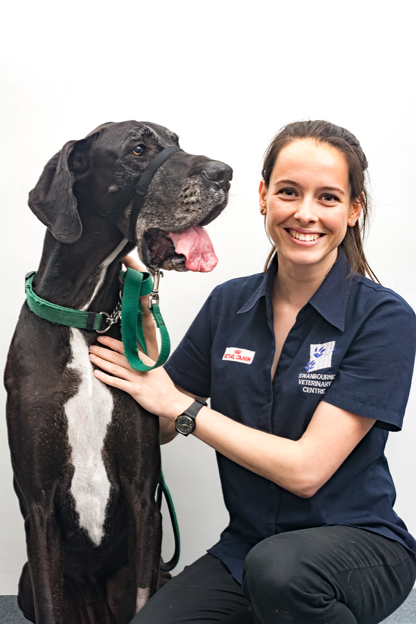 About Us - Swanbourne Vet Centre
