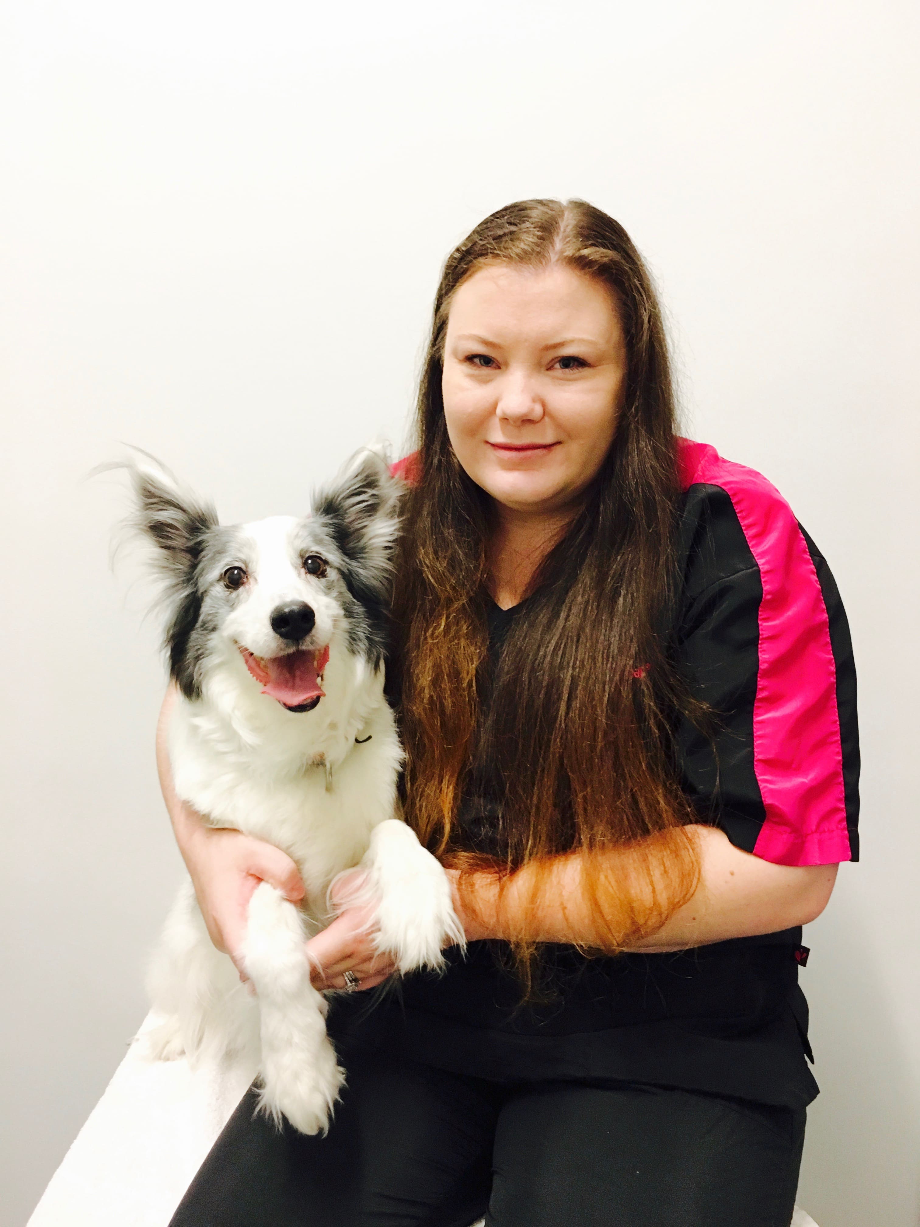 Shai - Swanbourne Vet Centre