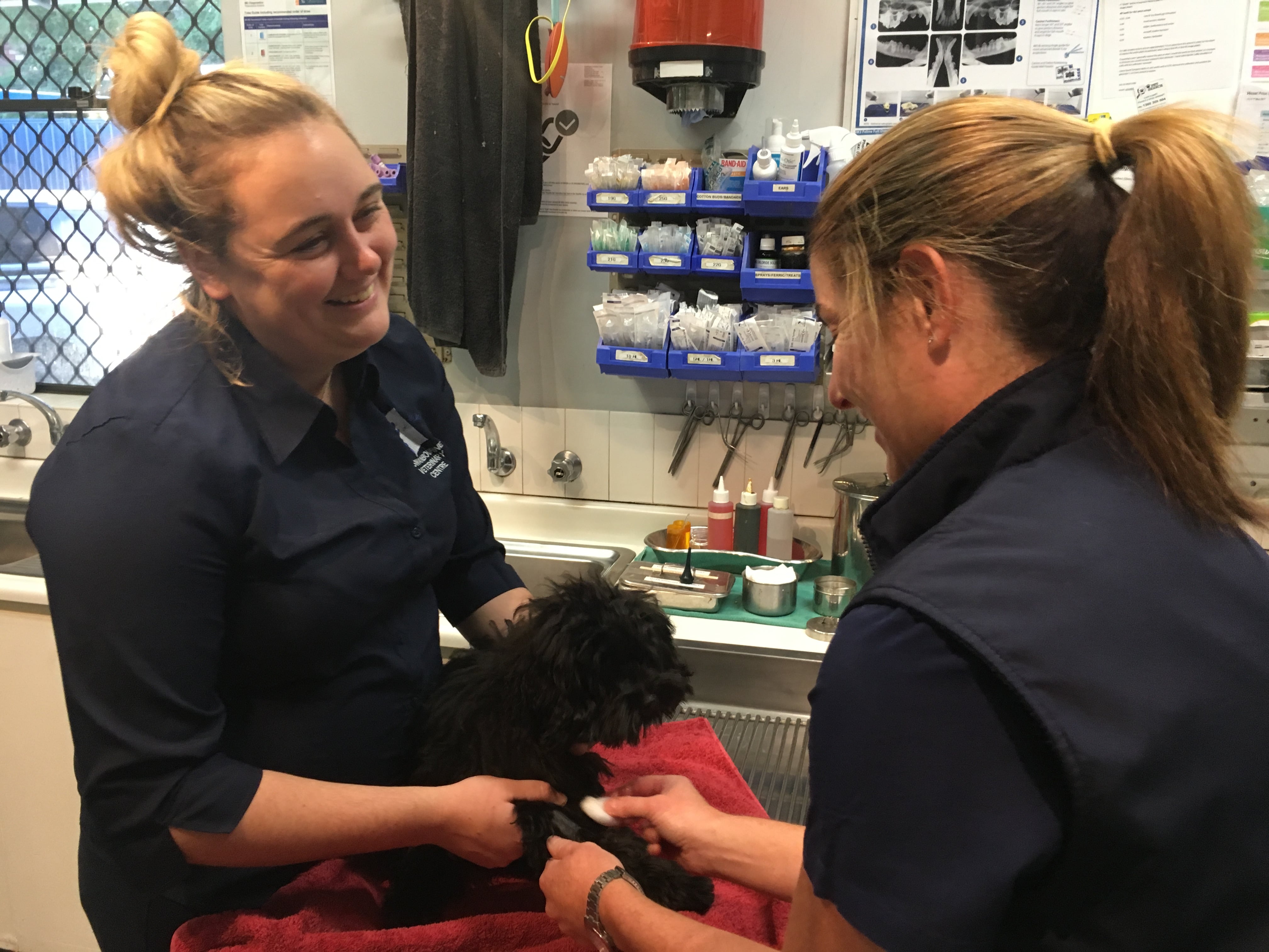 IMG_0699 - Swanbourne Vet Centre