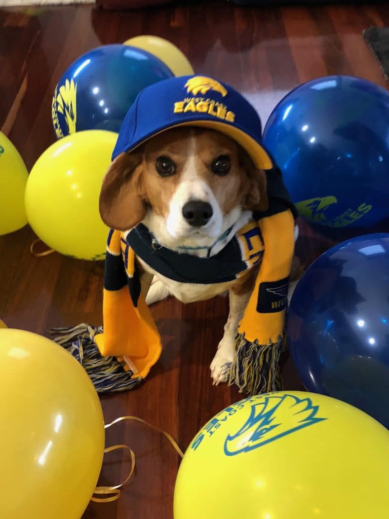 Footy Tipping - Swanbourne Vet Centre