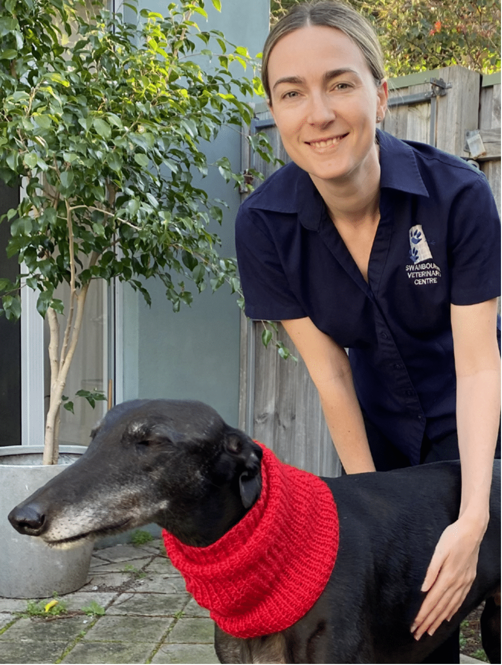 Team Members - Swanbourne Vet Centre