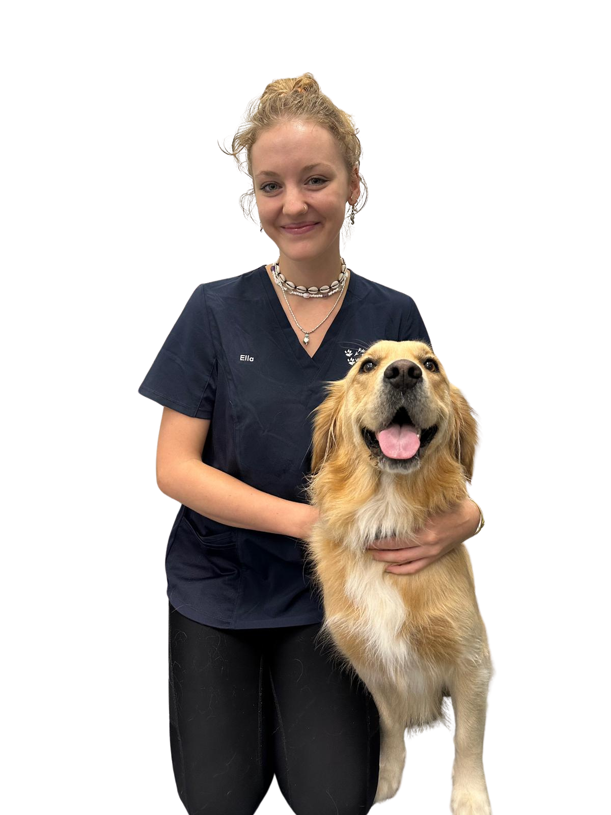 Ella - Swanbourne Vet Centre